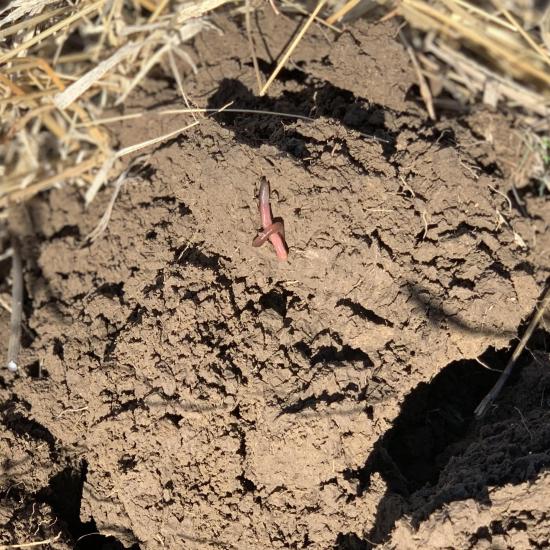 The subtle science behind soil aggregates | Successful Farming